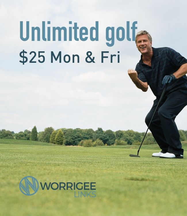 Vets Golf – Worrigee Sports